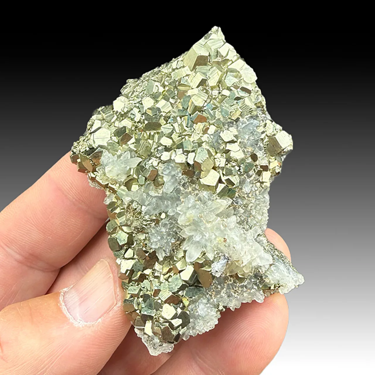 Pyrite with quartz - Huanzala Mine, Peru