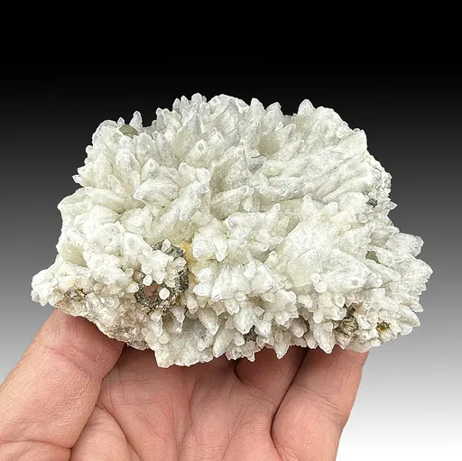 Calcite with Pyrite