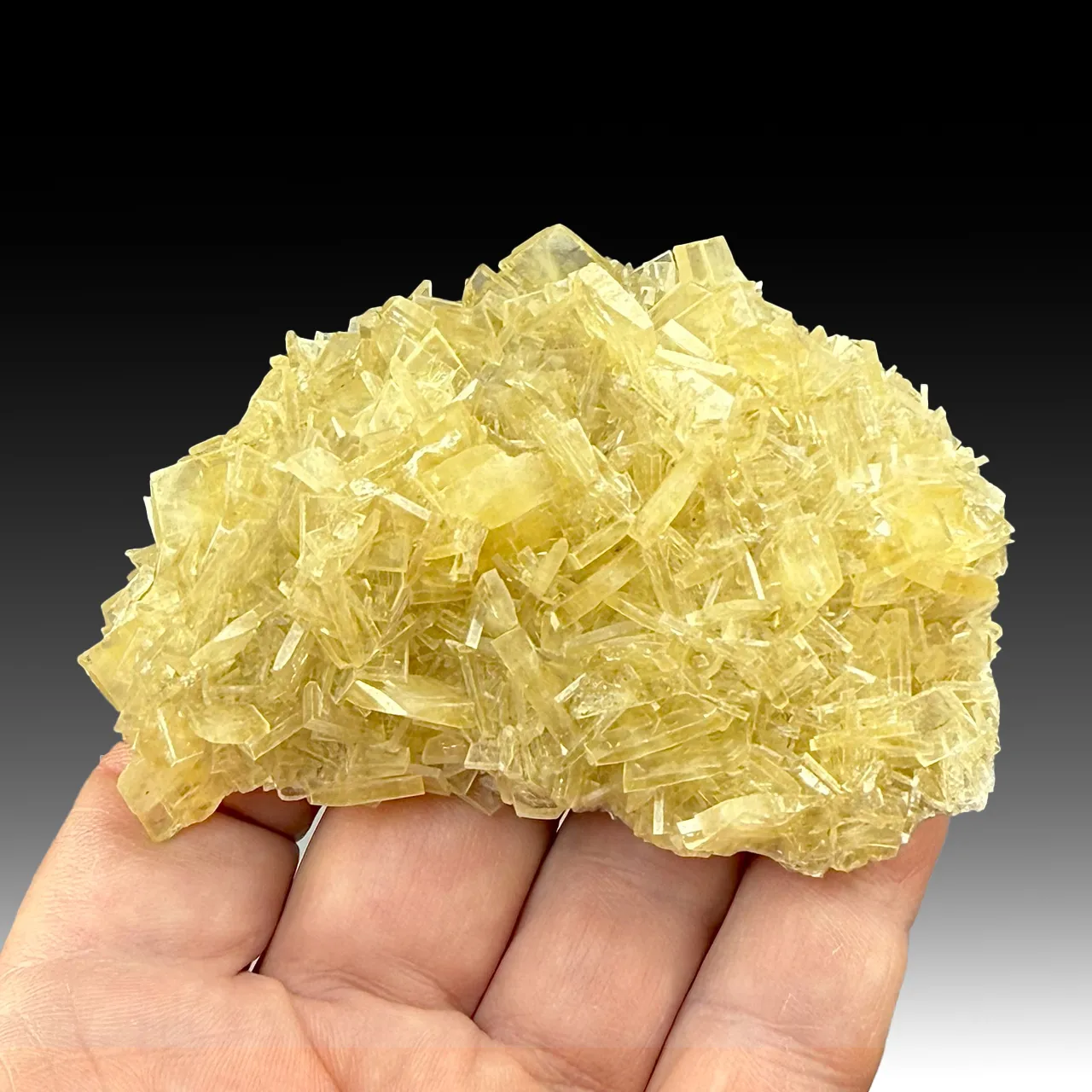 Barite - Cavnic, Romania
