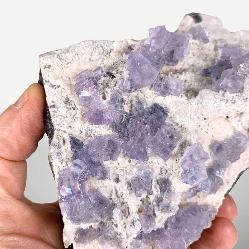 Fluorite from Spain, Asturias, La Viesca Mine - La Viesca Mine ...