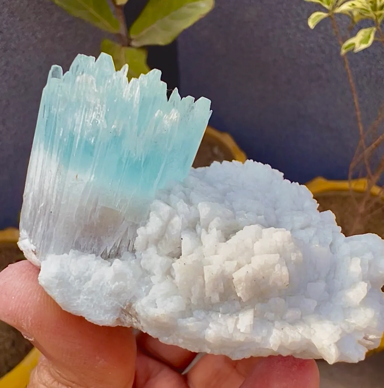 Morganite from Pakistan, Gilgit-Baltistan, Shigar District, Shigar ...