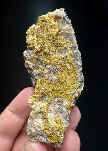 NATIVE Gold in Calcite - Hope's Nose, England, UK