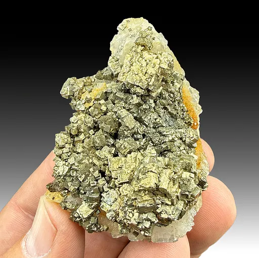 Pyrite with Quartz
