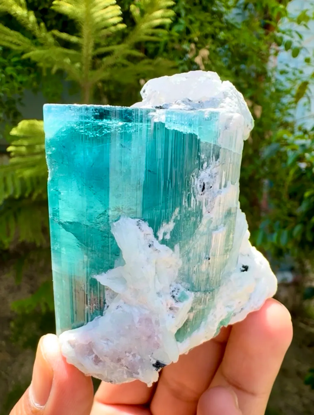 Tourmaline from Afghanistan, Laghman - Laghman, Afghanistan